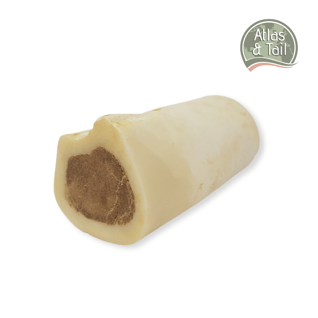Beef Marrow Bone - Atlas and Tail