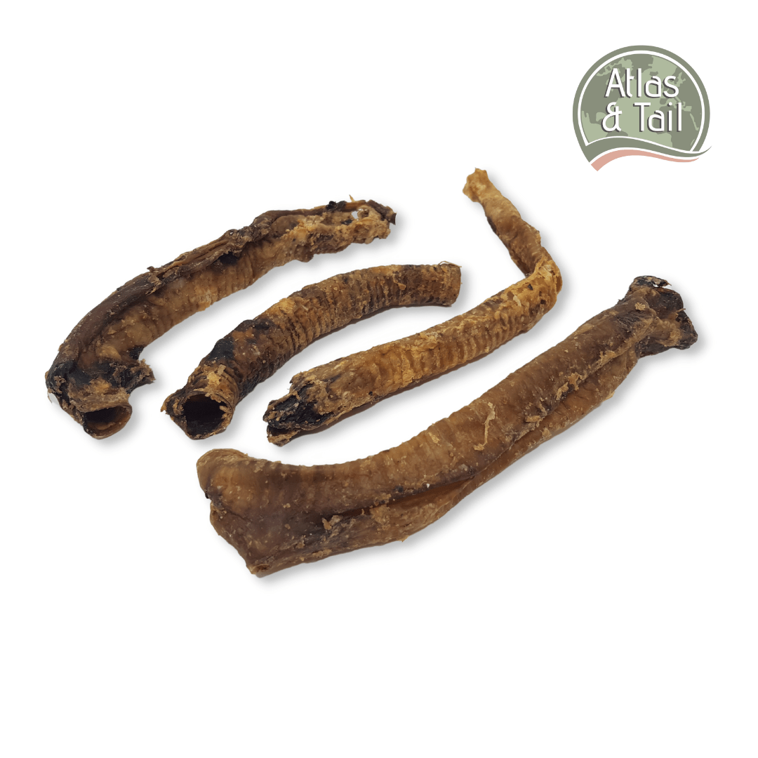 Lamb Tubes | Lamb Trachea 100g - Atlas and Tail